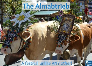Almabtrieb